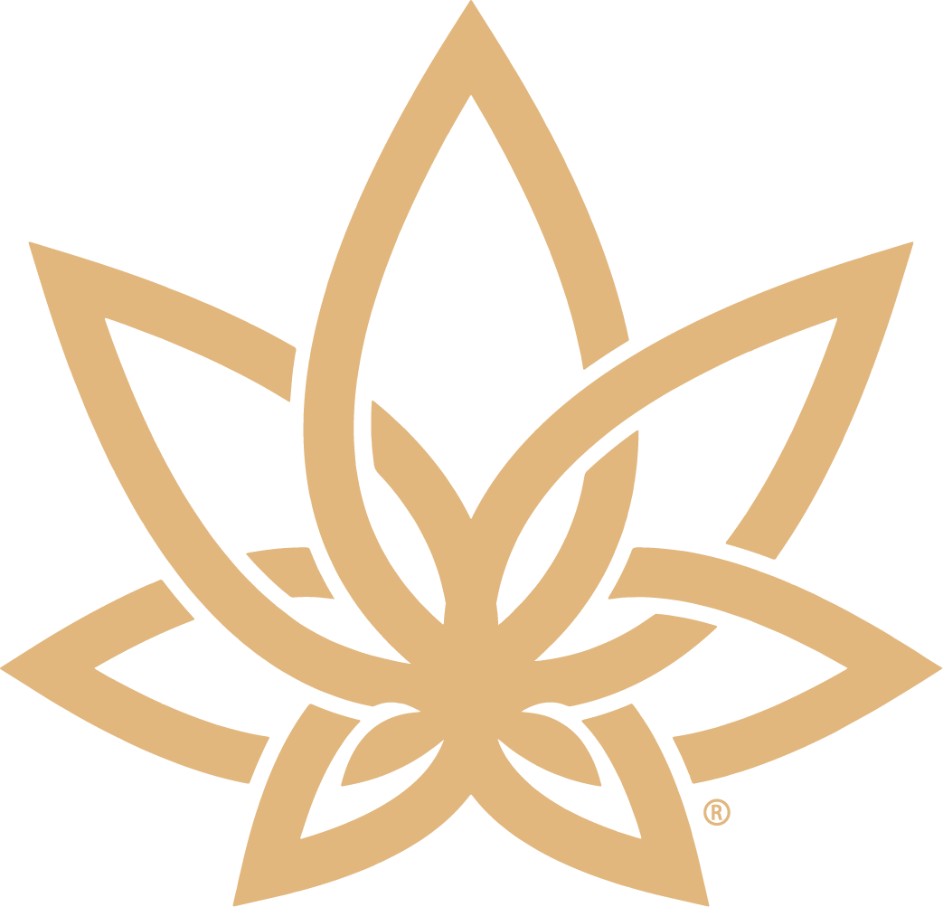 3CHI True Strains: Shop Premium Cannabis True Strains Online